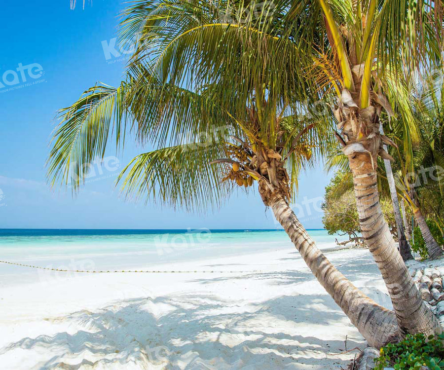 Tropical Beach Paradise Palm Trees Backdrop