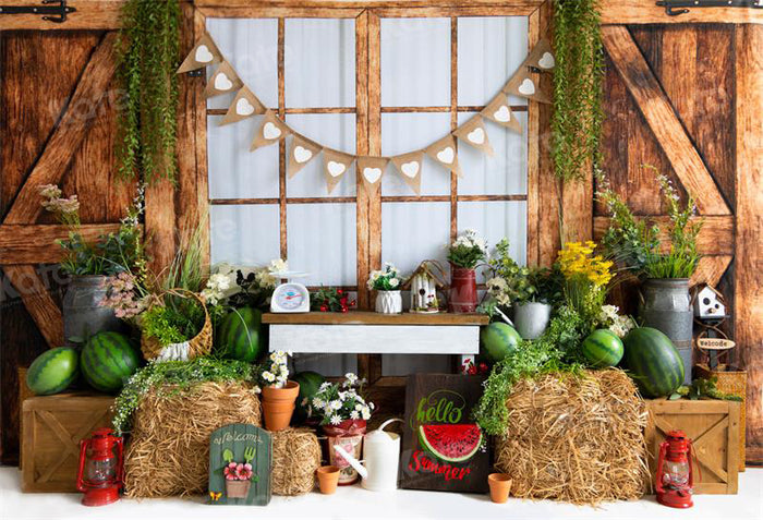 Rustic Summer Farmhouse Window Backdrop