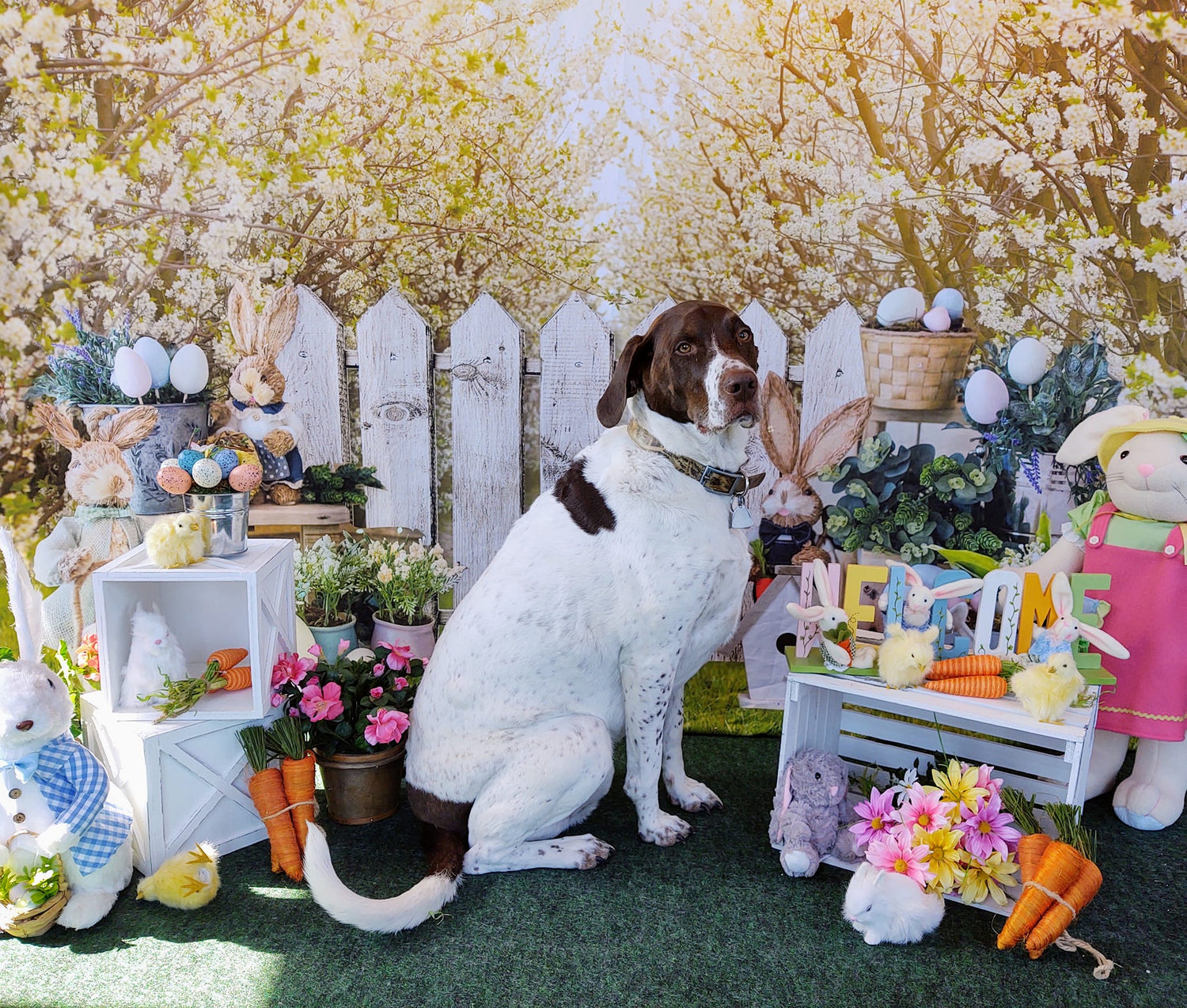 Rustic Spring Bunny Garden Backdrop