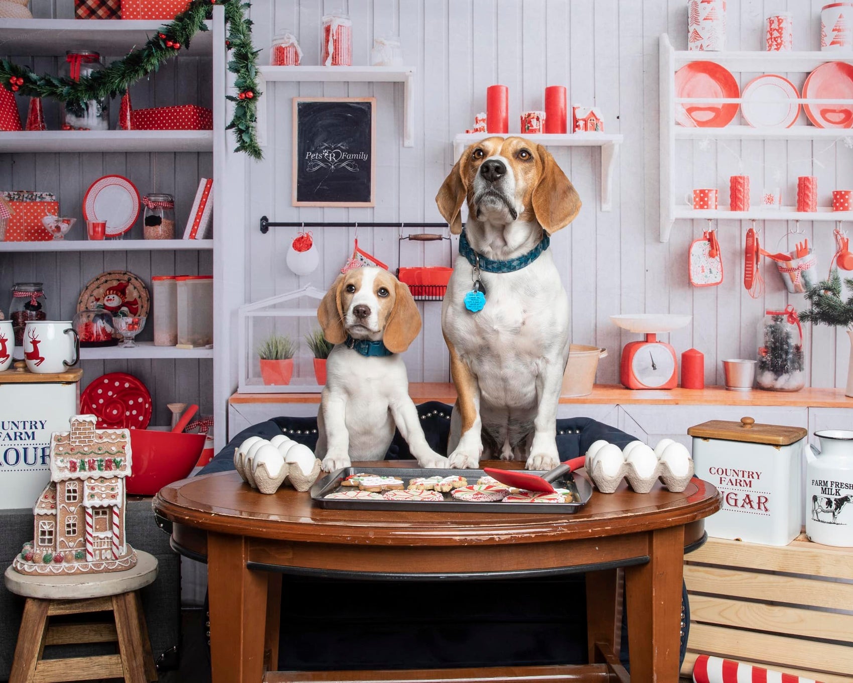 Cozy Rustic Christmas Kitchen Backdrop