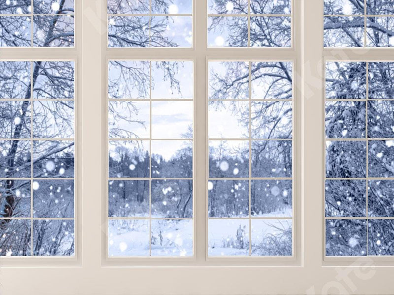 Winter Wonderland Snowy Window Scene Backdrop