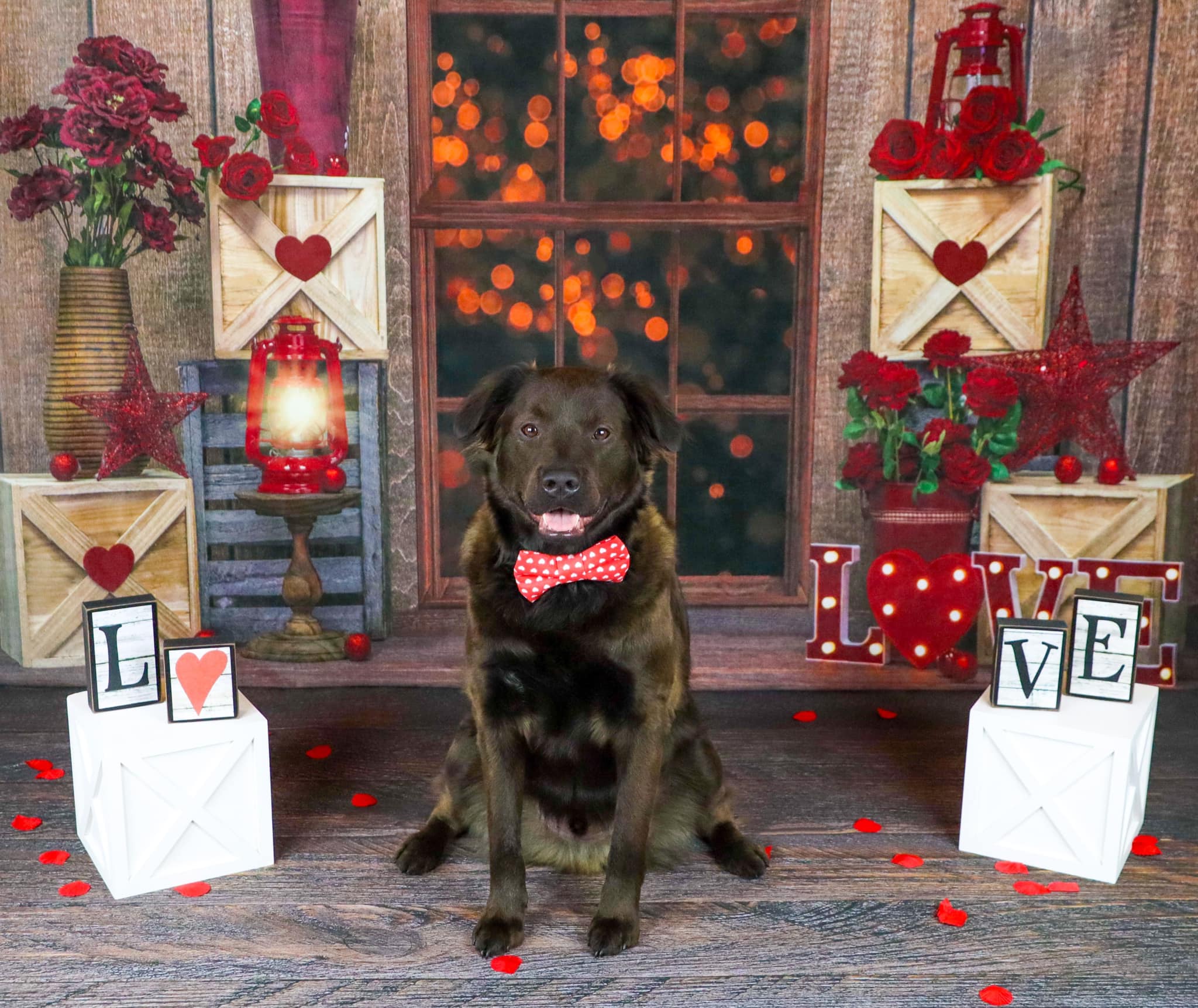 Kate Valentine's Day Love Window Backdrop Designed by Emetselch