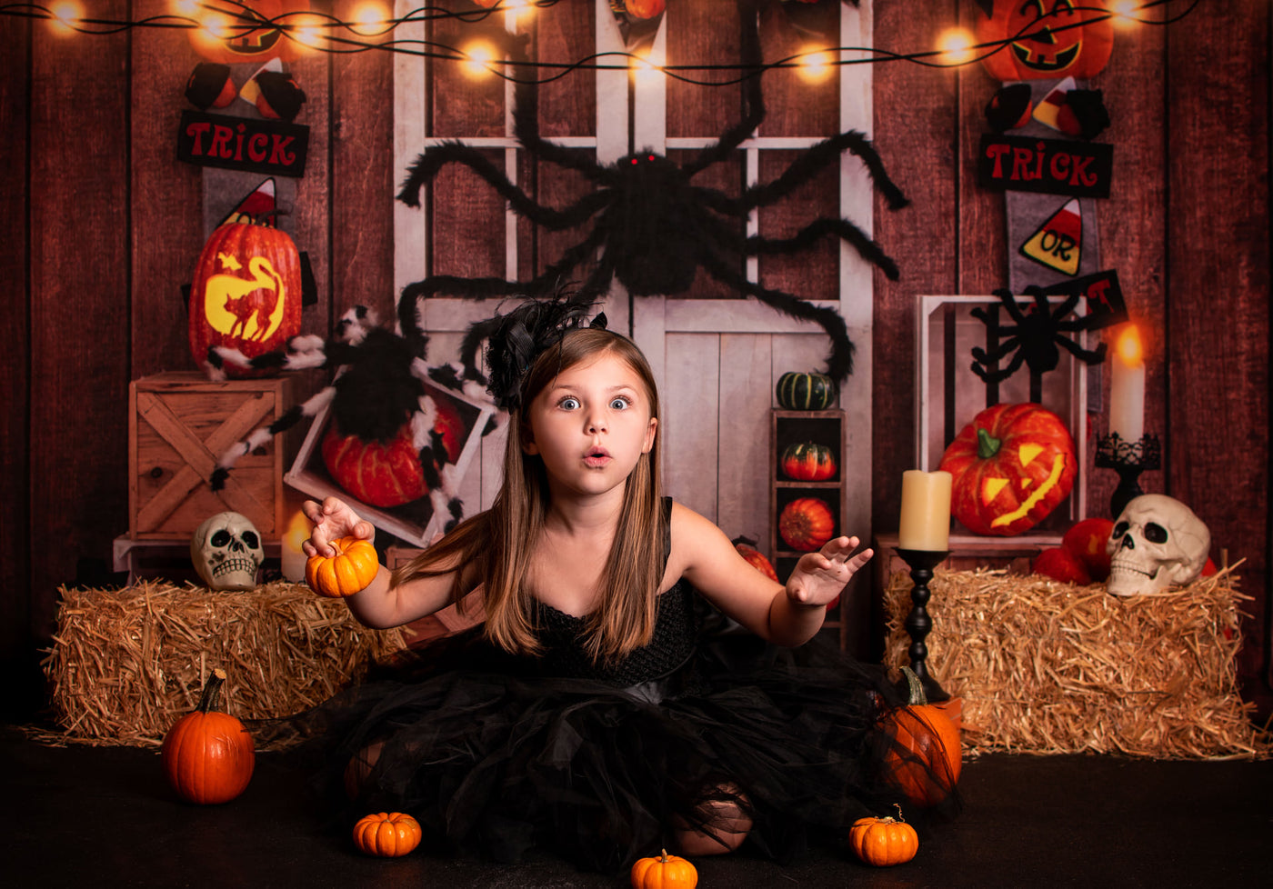 Kate Halloween Fall Pumpkin Spider Thanksgiving Backdrop for Photography