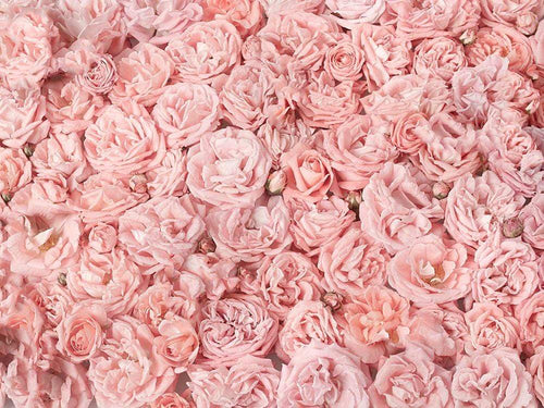 Elegant Blush Pink Floral Wall Backdrop