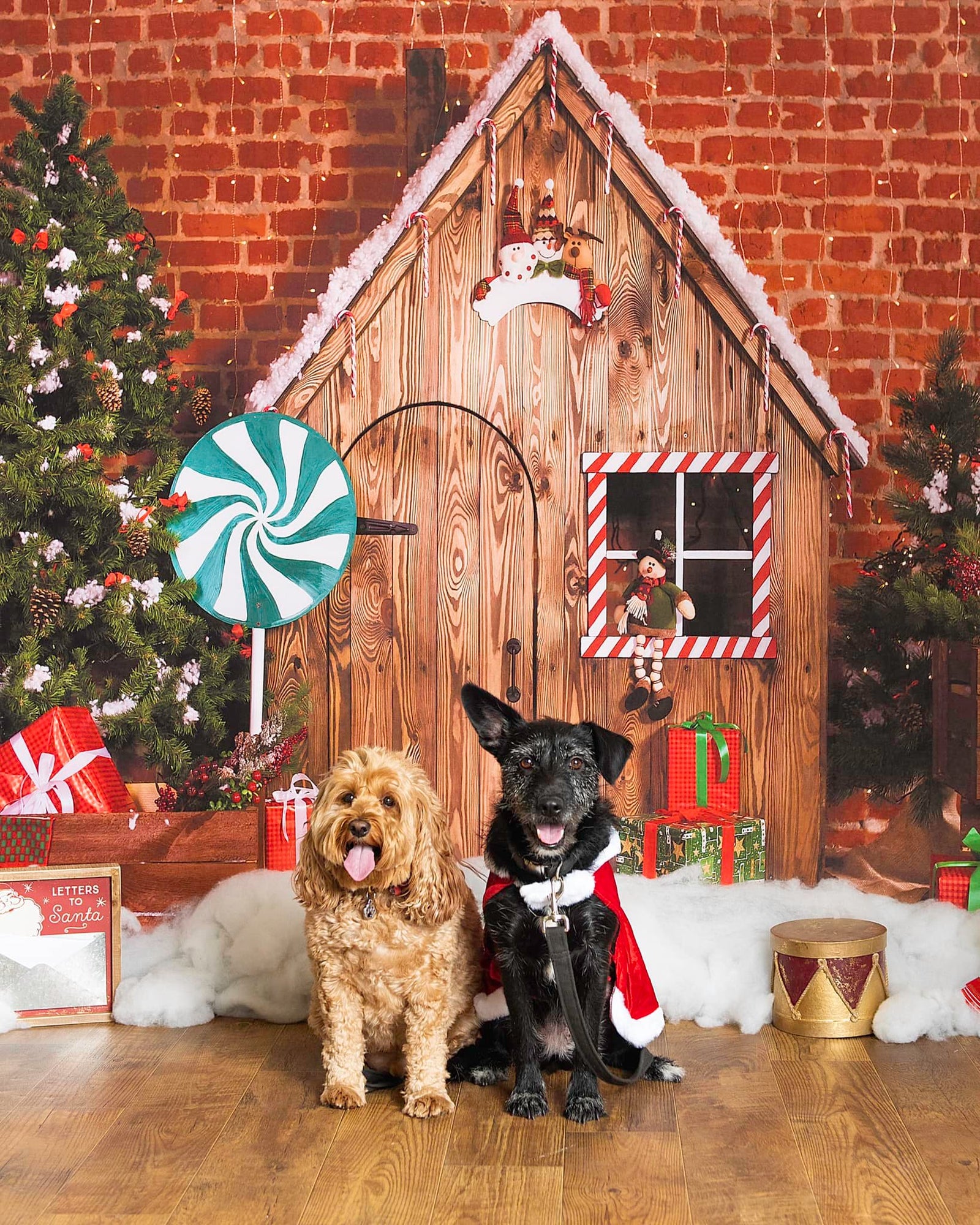 Cozy Christmas Gingerbread House Backdrop