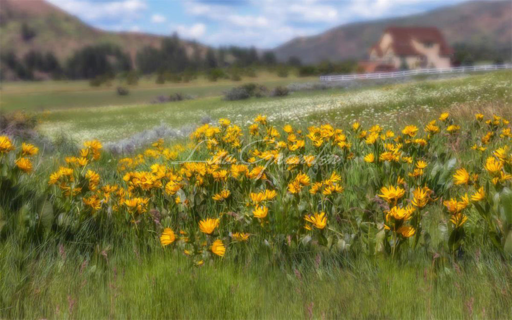 Sunny Wildflower Meadow Landscape Backdrop