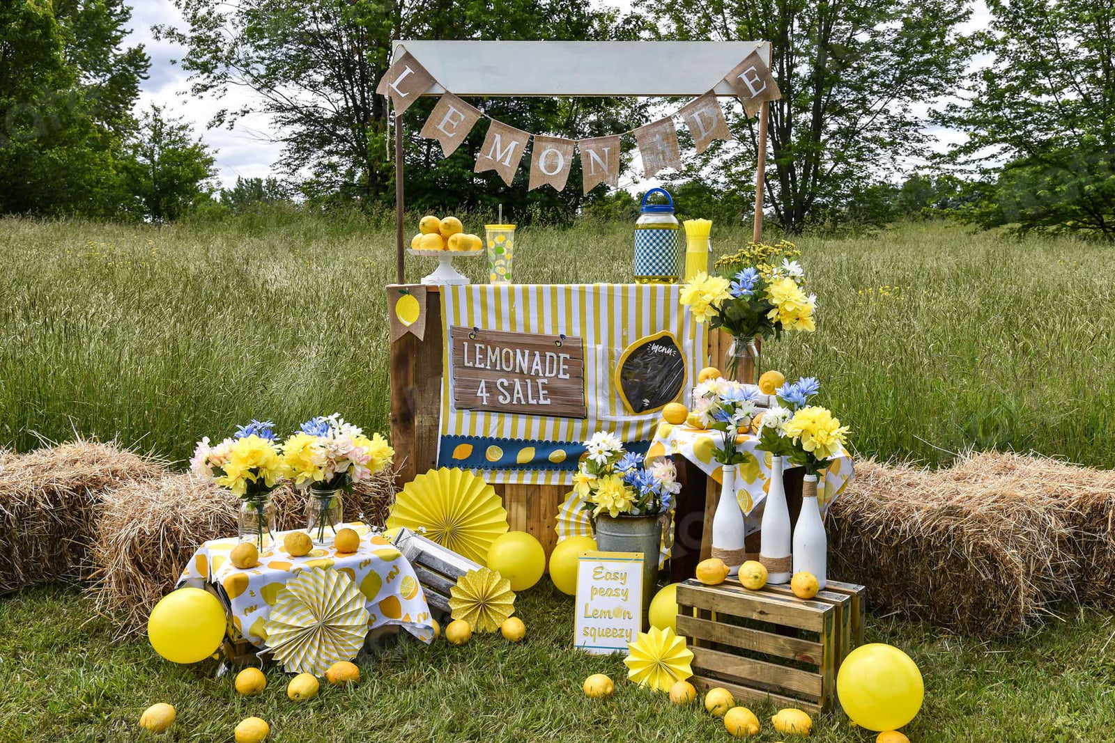 Kate Summer Backdrop Lemonade Stand for Photography