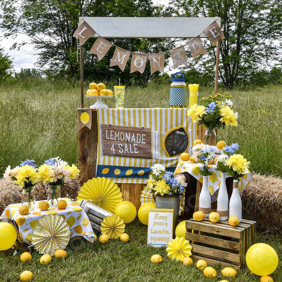 Kate Summer Backdrop Lemonade Stand for Photography