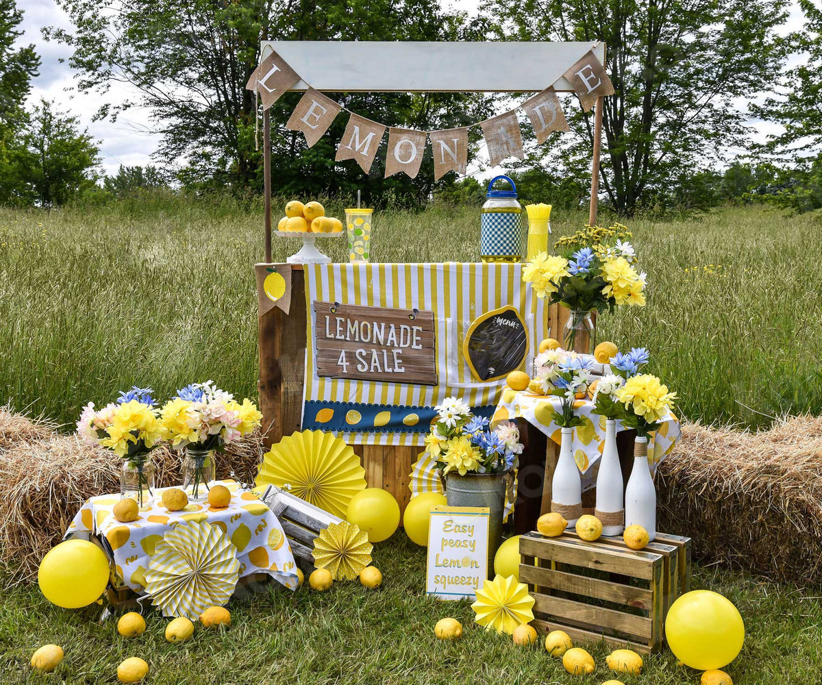 Kate Summer Backdrop Lemonade Stand for Photography