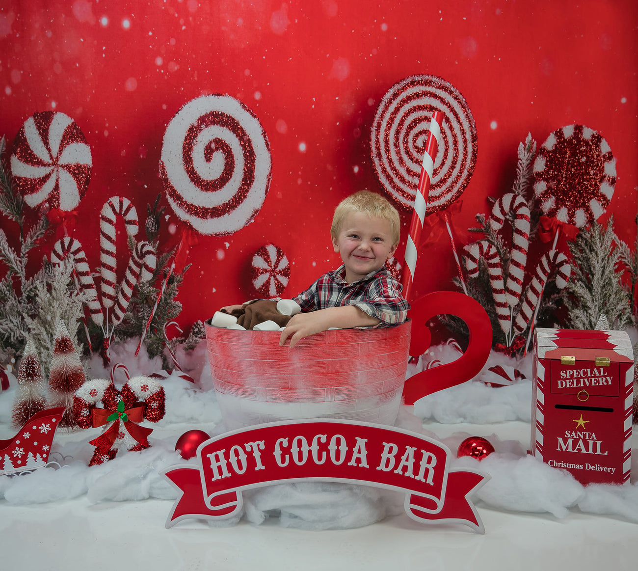 Festive Candy Swirl Winter Wonderland Backdrop