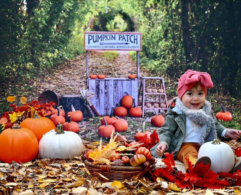 Rustic Pumpkin Patch Autumn Backdrop