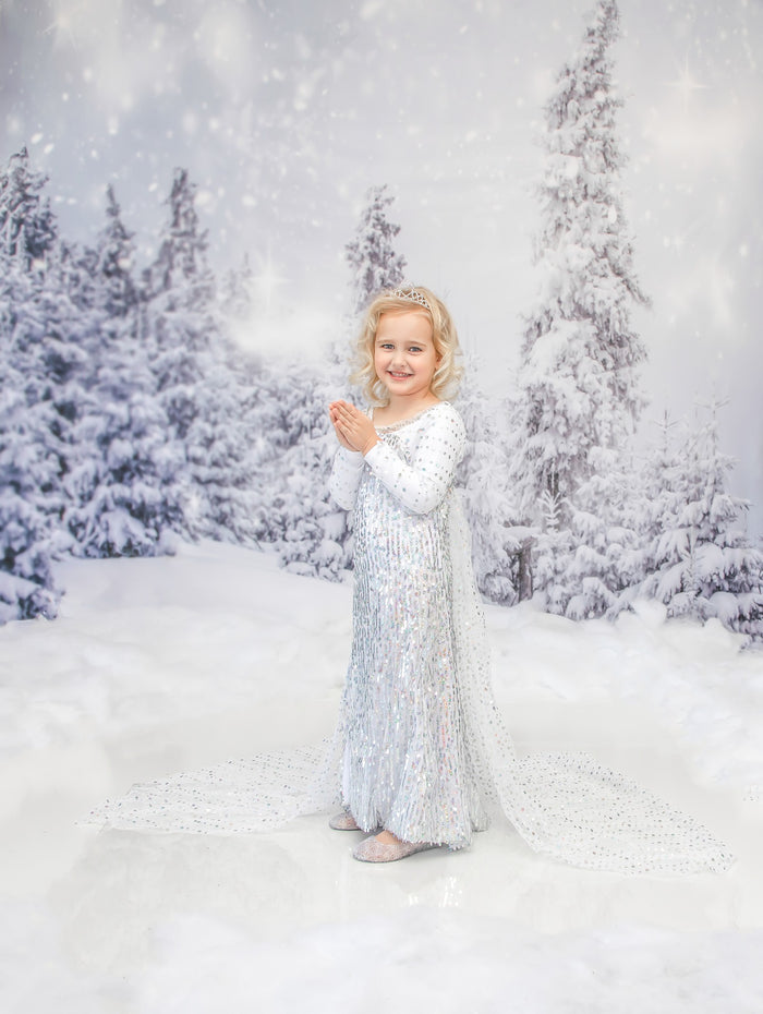 Enchanting Snowfall Winter Forest Backdrop