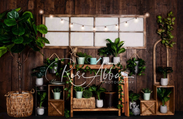Rustic Indoor Garden Plant Display Backdrop