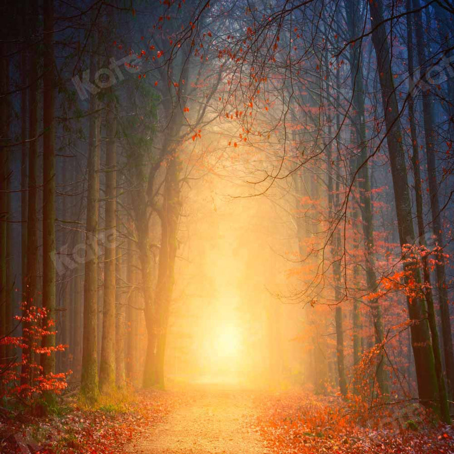Kate Natural Forest Path Backdrop for Photography
