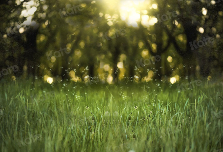 Sunlit Meadow Soft Focus Backdrop