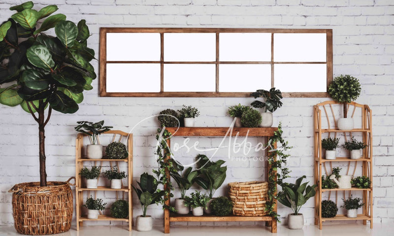 Rustic Greenery Indoor Plant Wall Backdrop