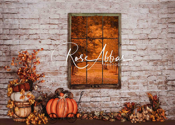 Rustic Autumn Window Brick Wall Backdrop