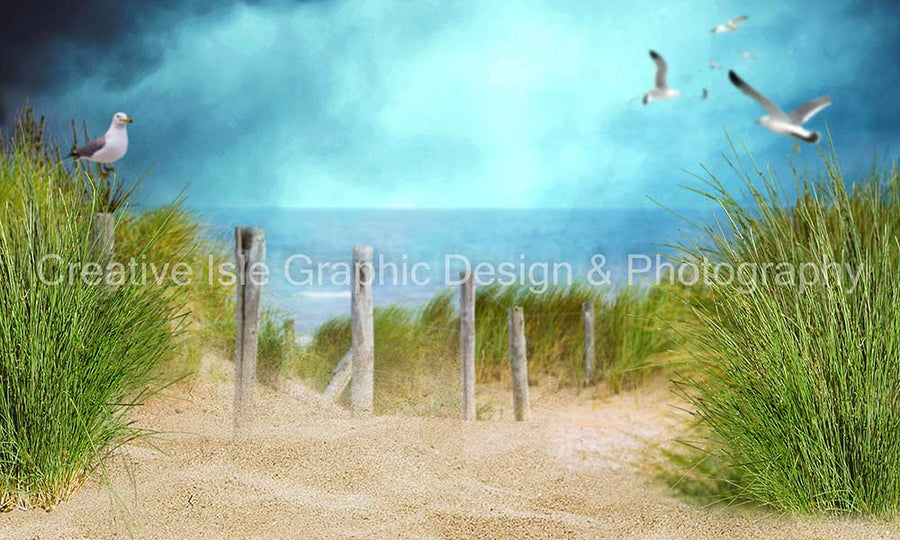 Seaside Pathway Beachscape Photography Backdrop