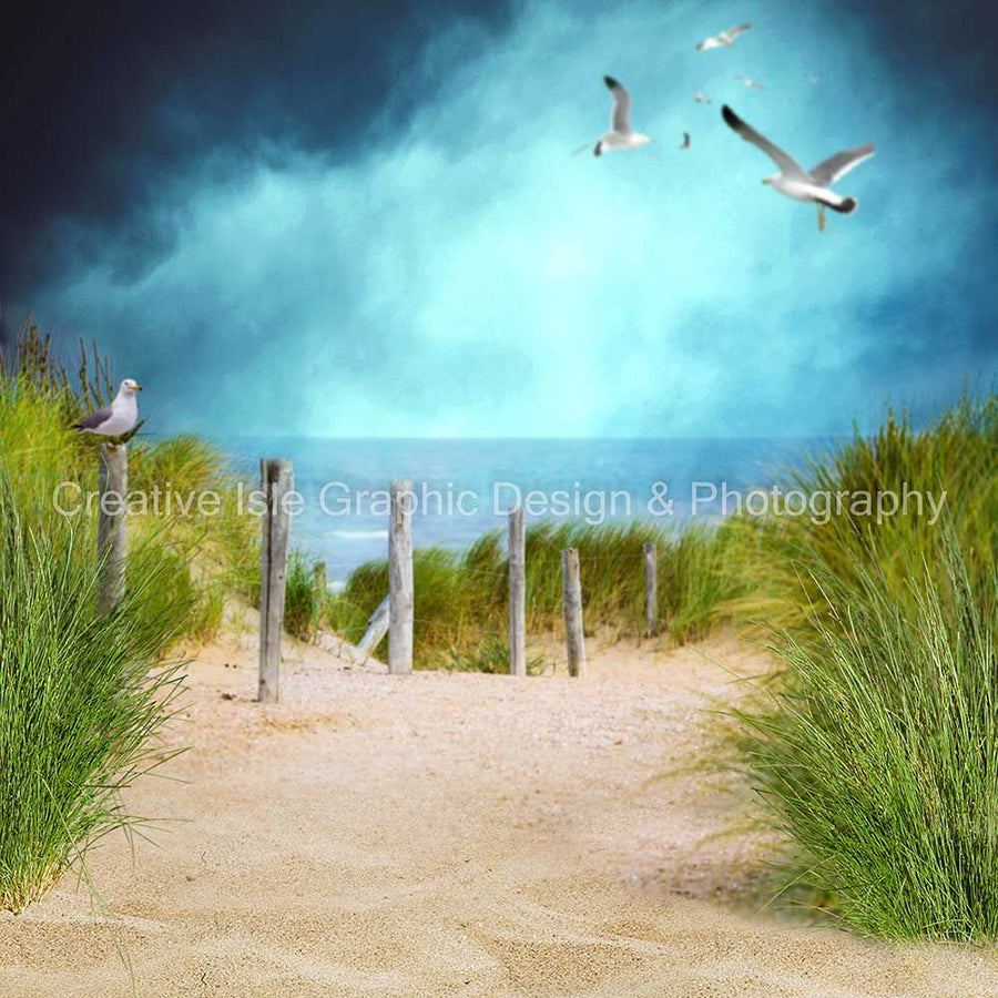 Seaside Pathway Beachscape Photography Backdrop
