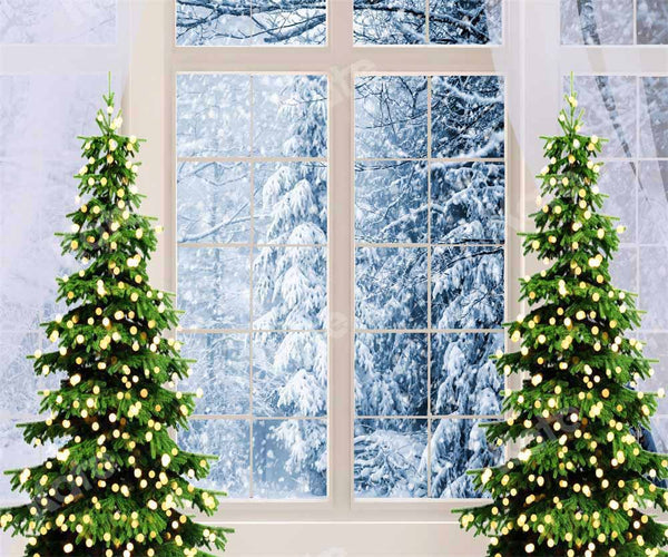 Festive Winter Window Pine Tree Backdrop