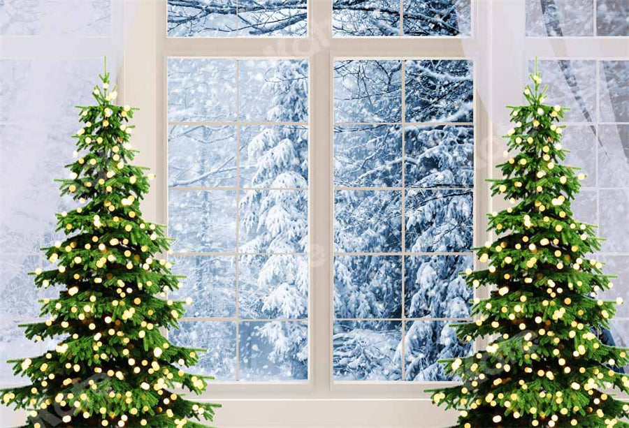 Festive Winter Window Pine Tree Backdrop