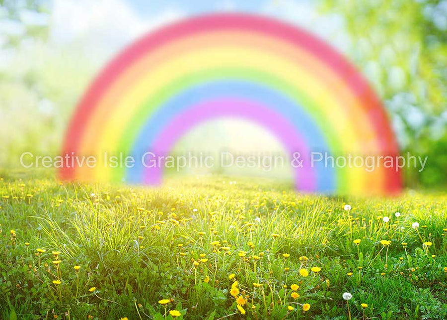 Vibrant Rainbow Meadow Photography Backdrop