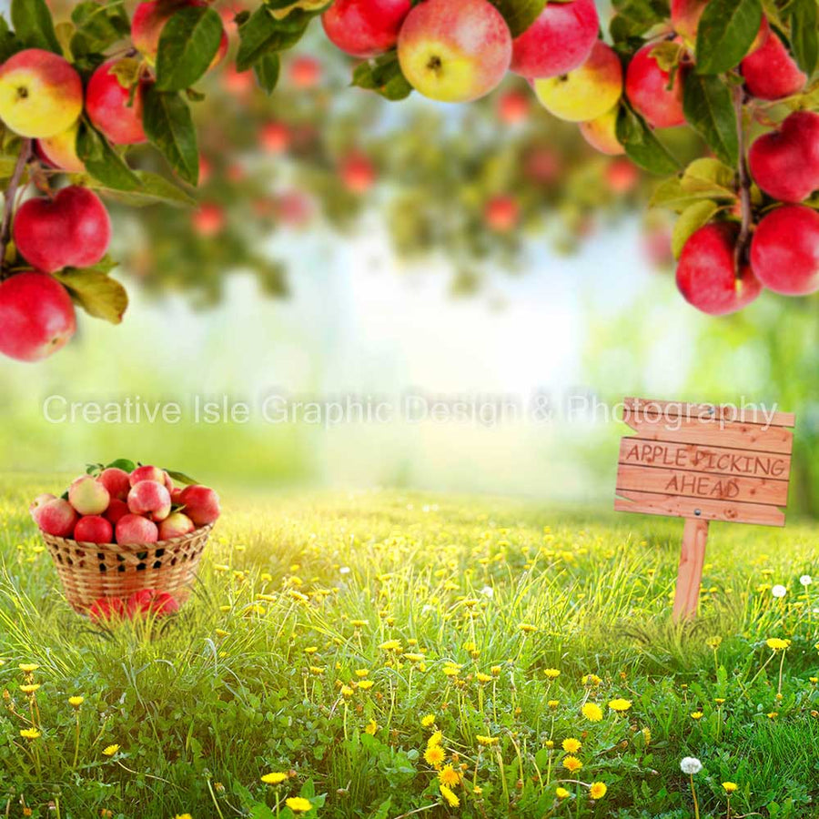 Rustic Apple Orchard Harvest Backdrop