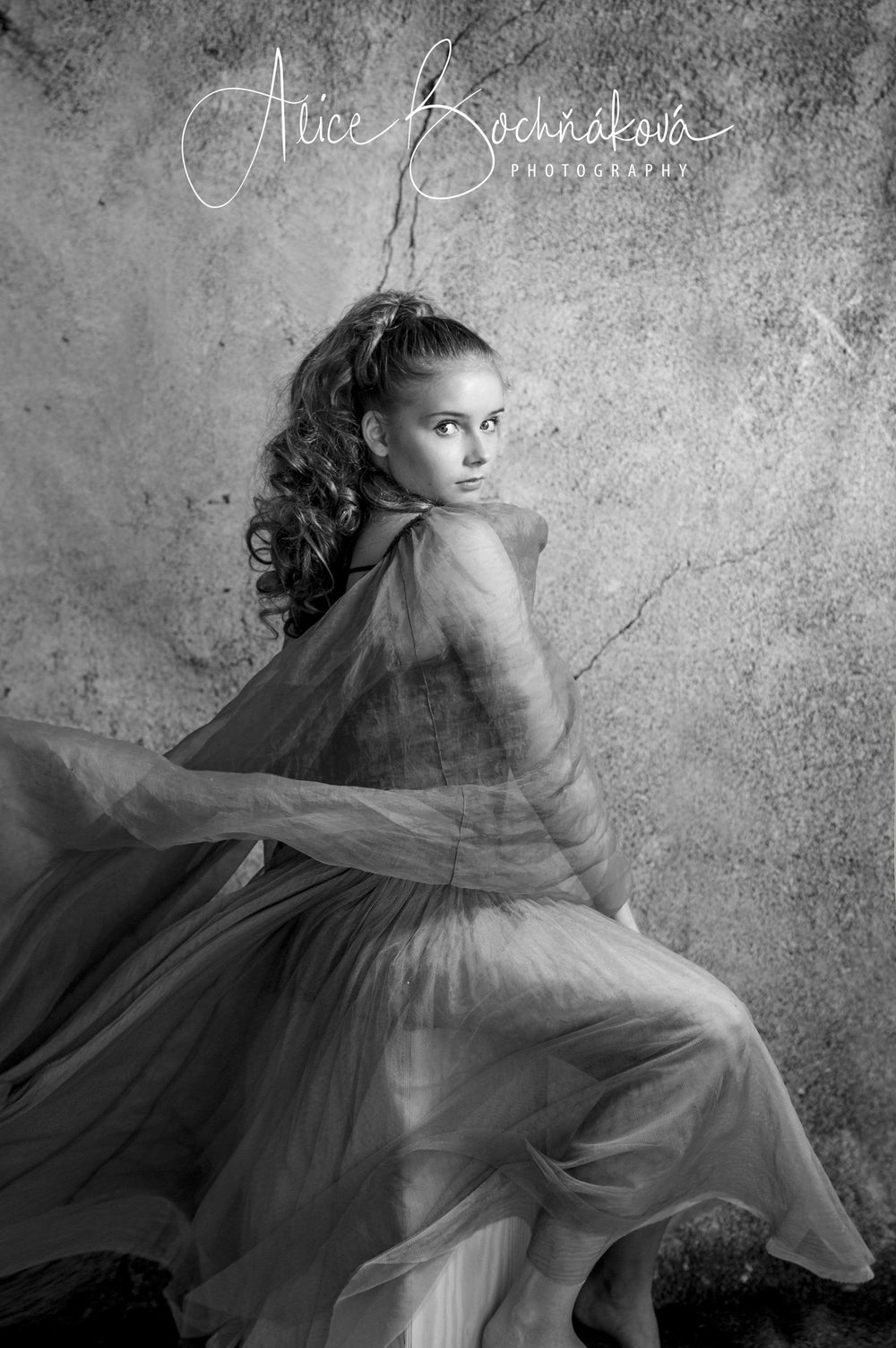 Rustic Vintage Earth Tone Photo Backdrop