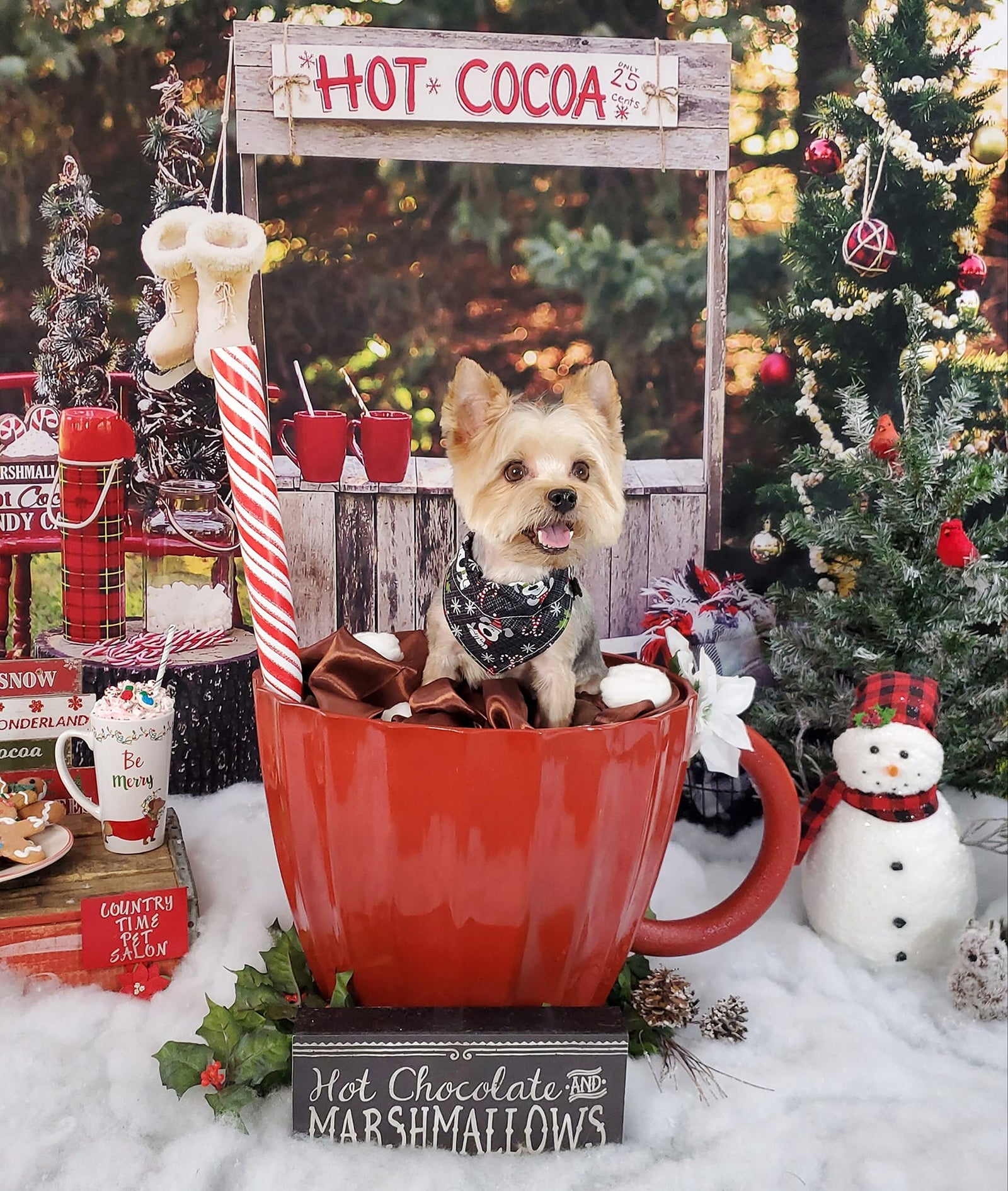 Kate Hot Cocoa Stand Backdrop for Photography