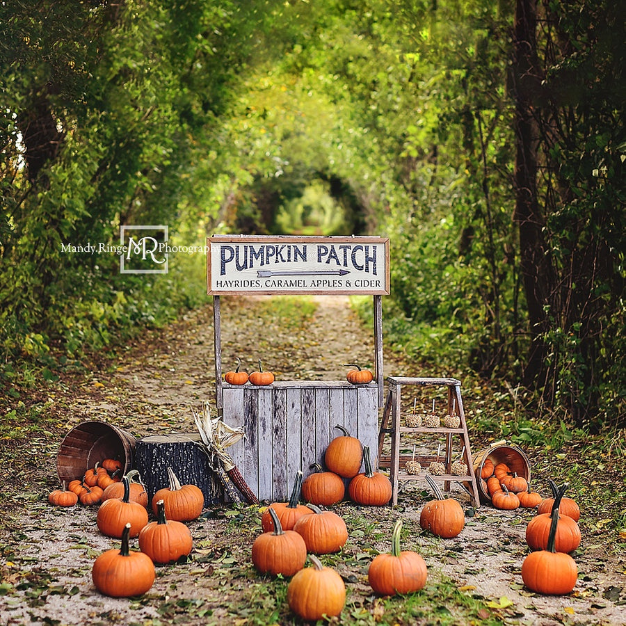 Rustic Pumpkin Patch Autumn Backdrop