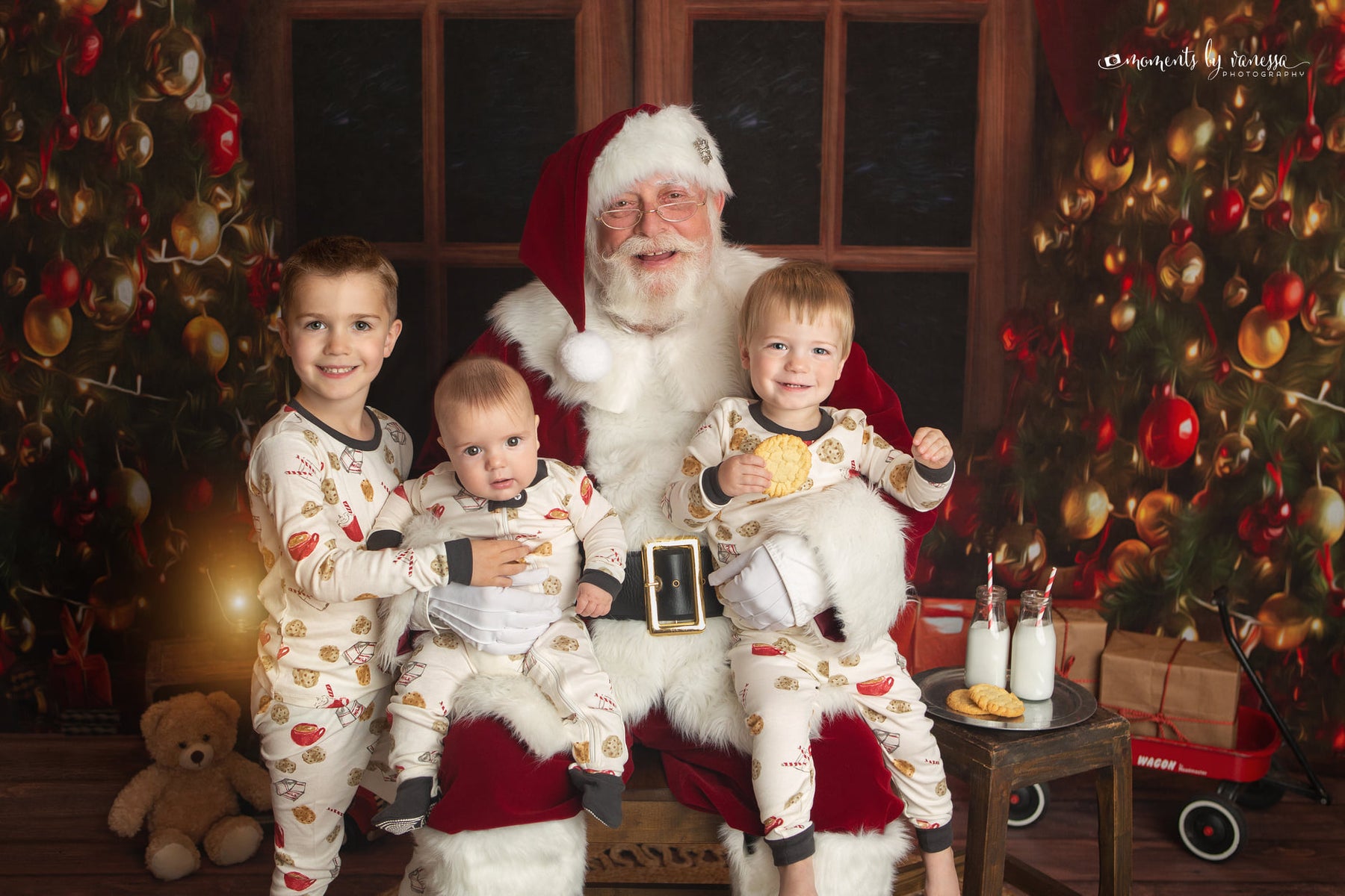 Cozy Holiday Family Christmas Backdrop