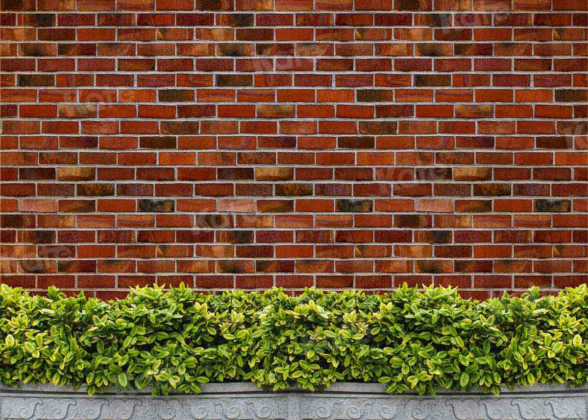 Brick Backdrops Fabric Photo Backdrops – Page 3