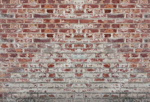 Brick Backdrops Fabric Photo Backdrops – Page 3